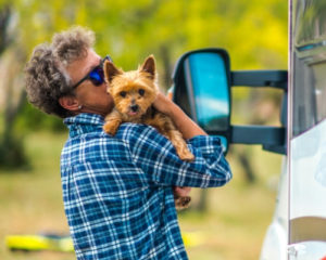 Dogs in Travel Trailers: Here is What You Need to Know