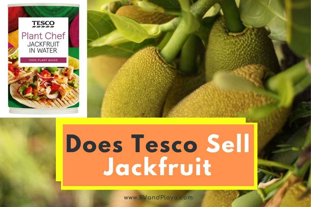 Does Tesco Sell Jackfruit Jackfruit In Water Reviews Does Tesco Sell Jackfruit Jackfruit In Water Reviews